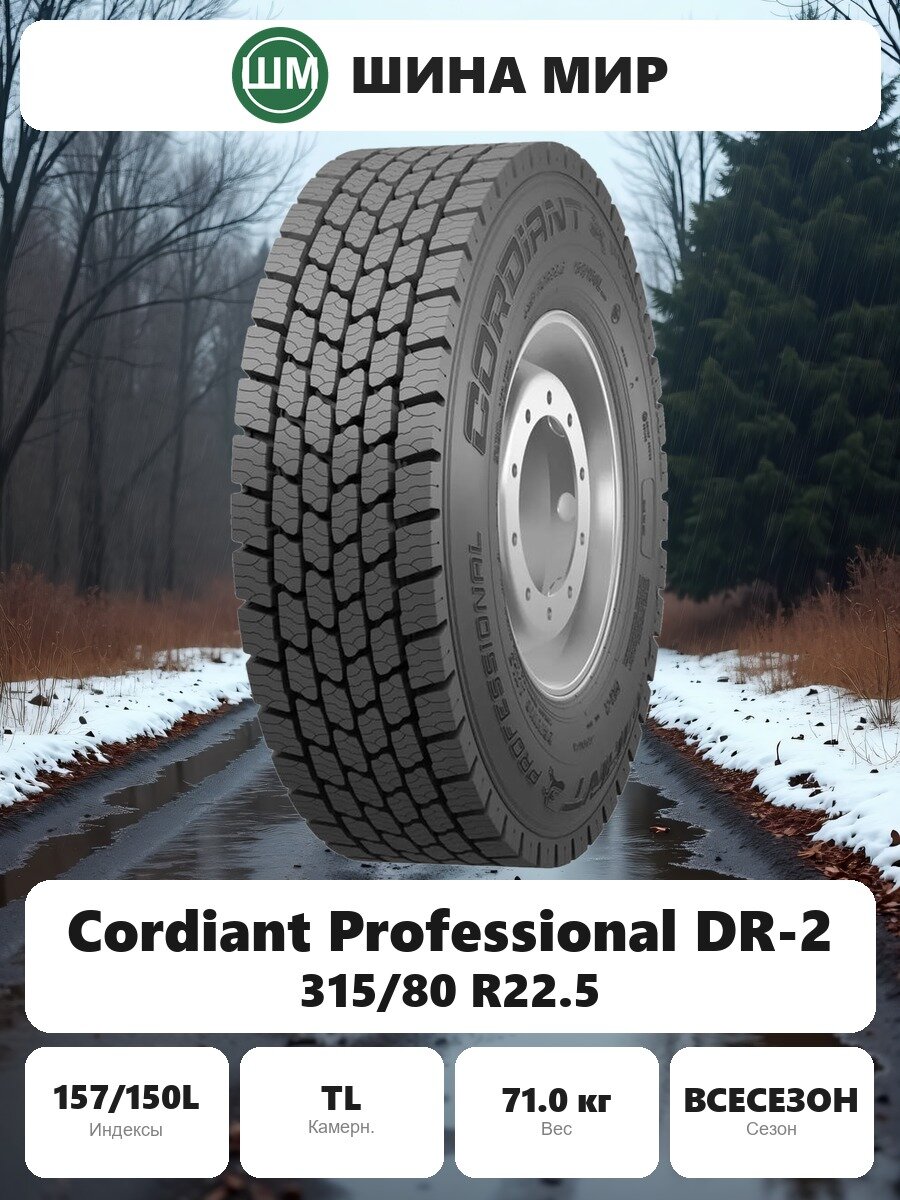 Грузовая шина Cordiant Professional DR-2 315/80 R22.5 157/150L Всесезонная Нешипованная