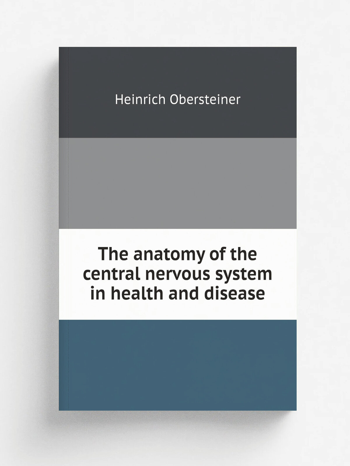 The anatomy of the central nervous system in health and disease