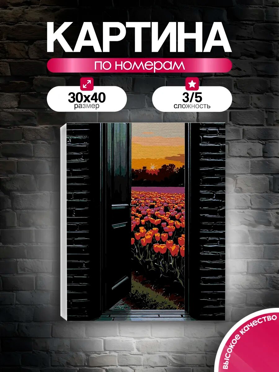 Картина по номерам 30x40 Дверь в тюльпаны