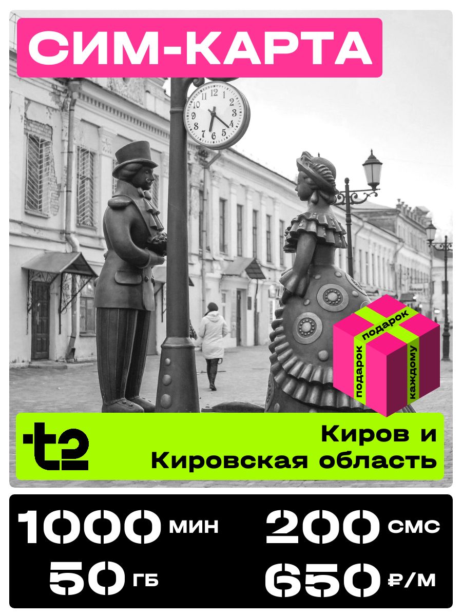 Сим карта теле 2. t2 SIM-карта тариф Партнер М Кировская область. 1000 минут за 650 рублей в месяц.