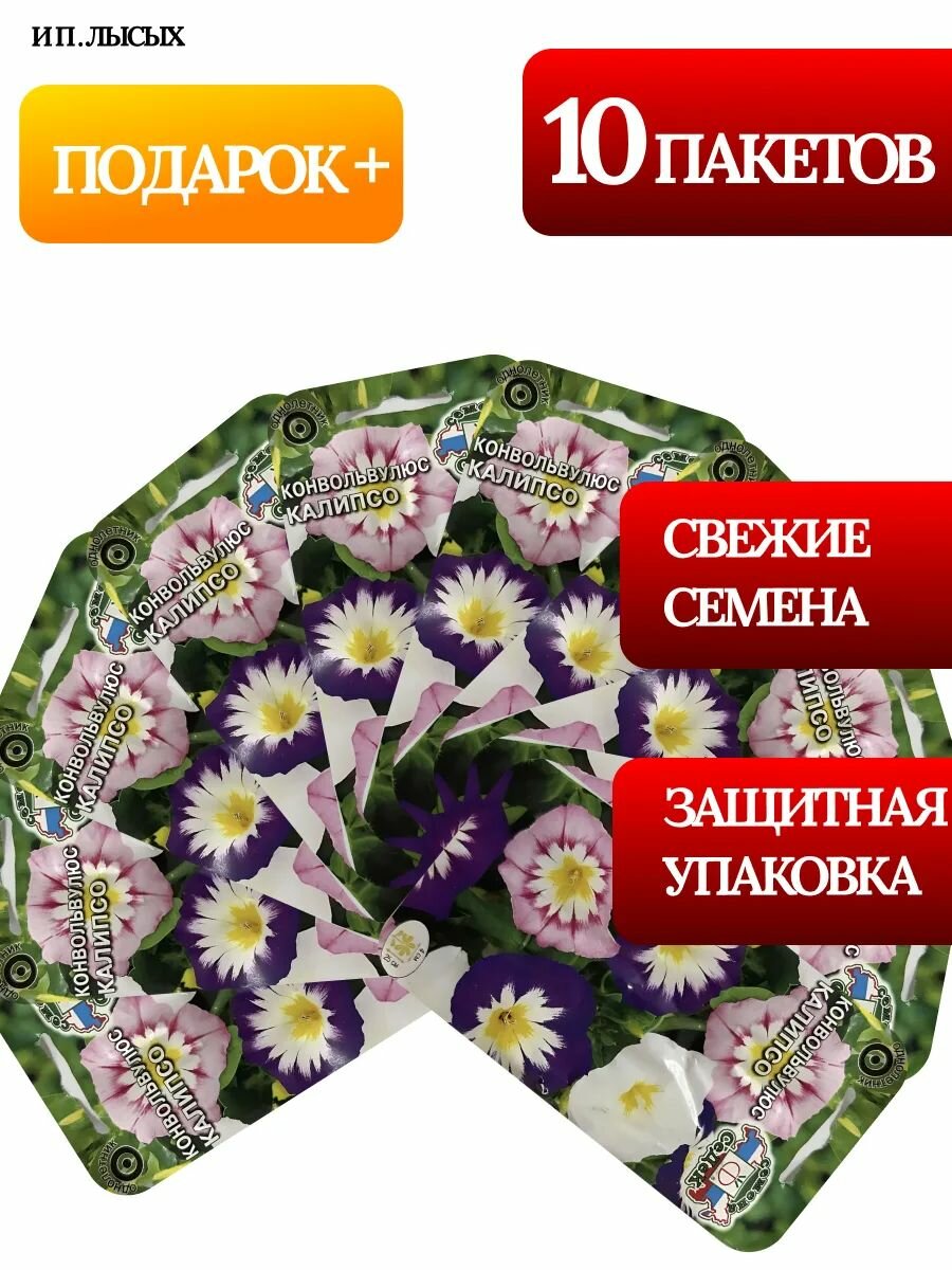 Семена Конвольвулюс "Калипсо"
