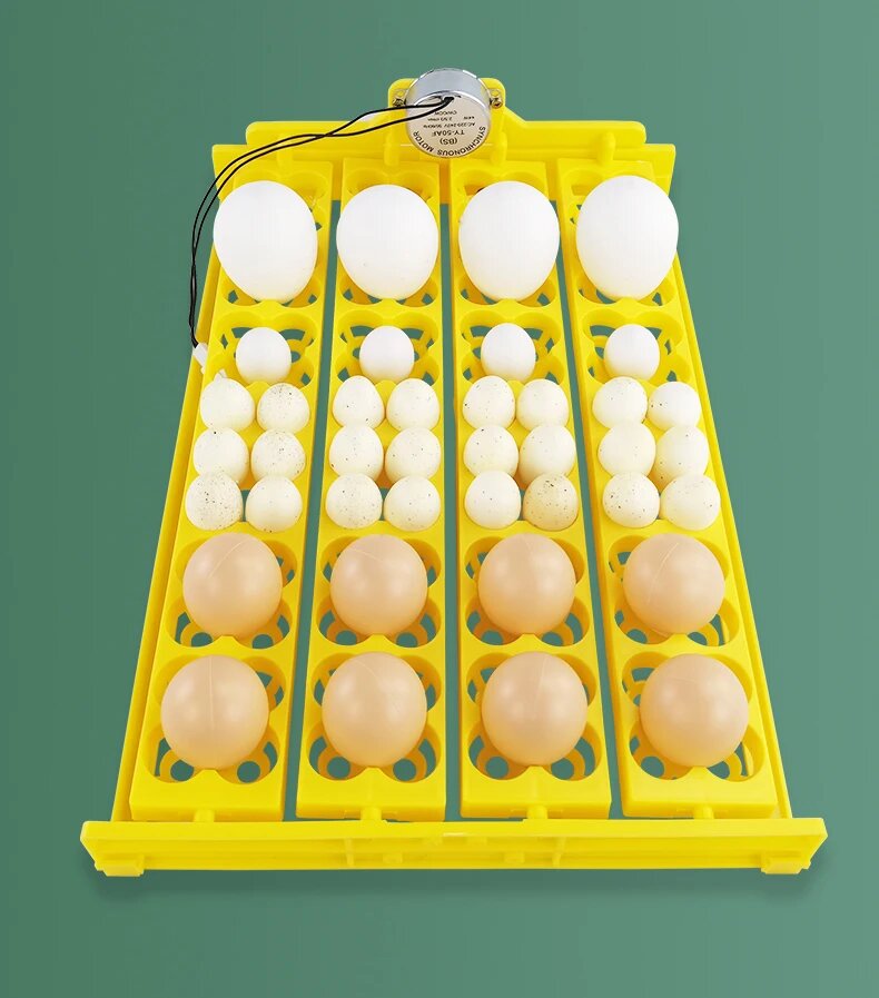 Автоматический инкубатор для яиц на 24 яйца, Yellow, DC12V