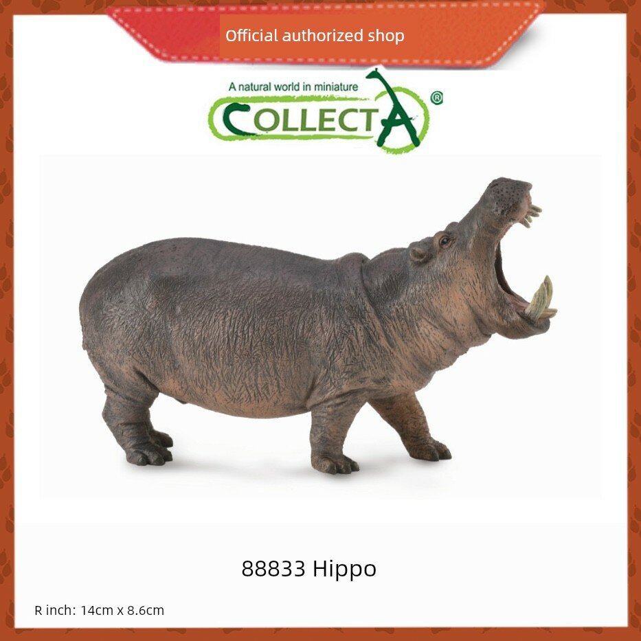 Collecta фигурка Бегемота 1:12 масштаб, пластиковая модель для выставок дикой природы