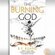 Burning God (book 3)