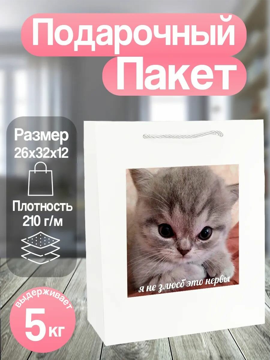 Пакет подарочный мем котики