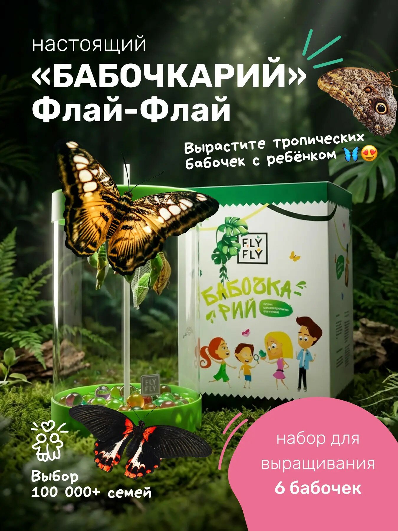 Ферма бабочек "Бабочкарий" на 6 куколок / Детский набор для исследований от Флай-Флай