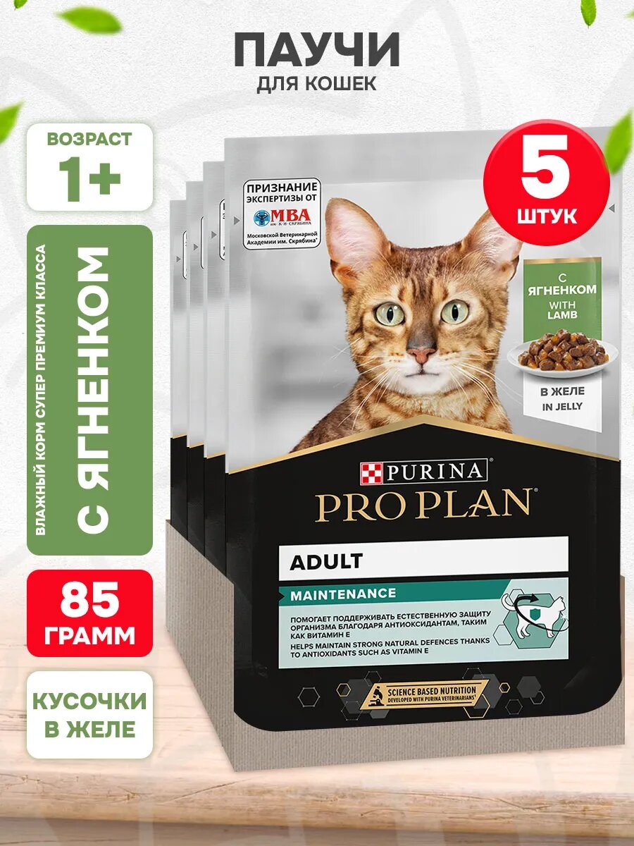 Корм влажный Pro Plan Maintenance для взрослых кошек, ягнёнок в желе, 85 г 5 шт