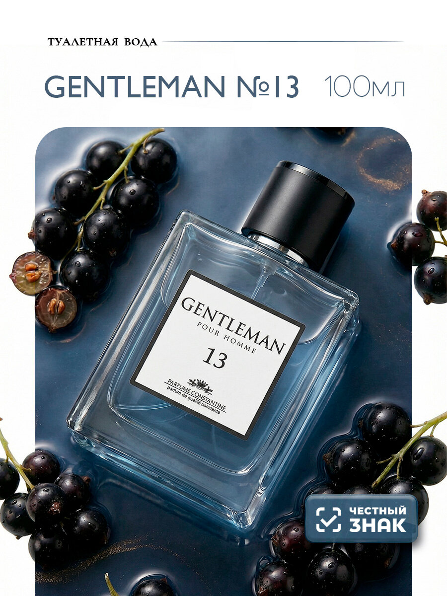 Туалетная вода мужская Parfums Constantine Classic Collection Gentleman 13 100мл
