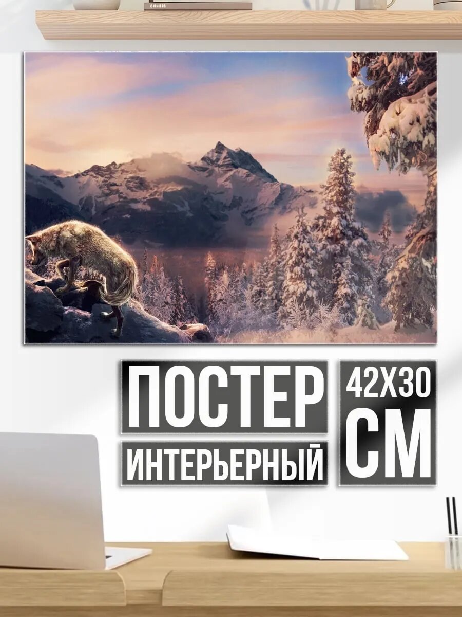 Плакат постер волк в снегах