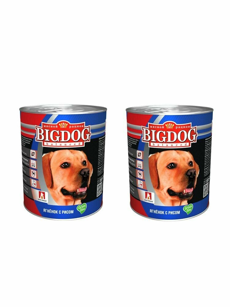 Зоогурман Корм влажный для собак big dog, с ягненком и рисом, 850 гр, 2 шт