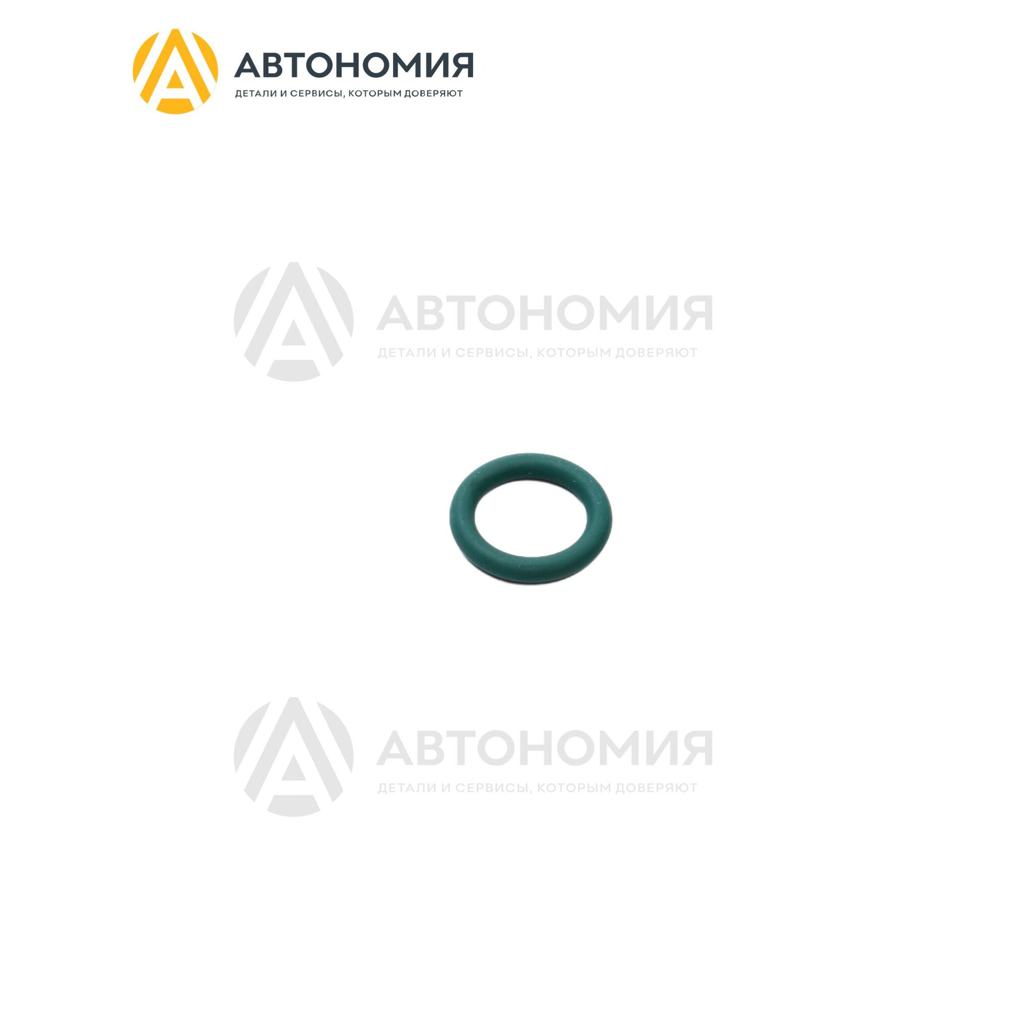 Кольцо уплотнительное вакуумного насоса Ford 1358571