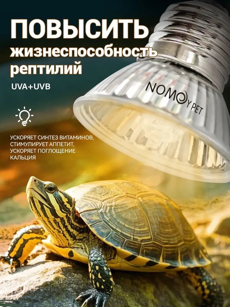 UVB лампа для рептилий 50W, керамический цоколь E27, для черепах, змей, амфибий, обогрев и УФ