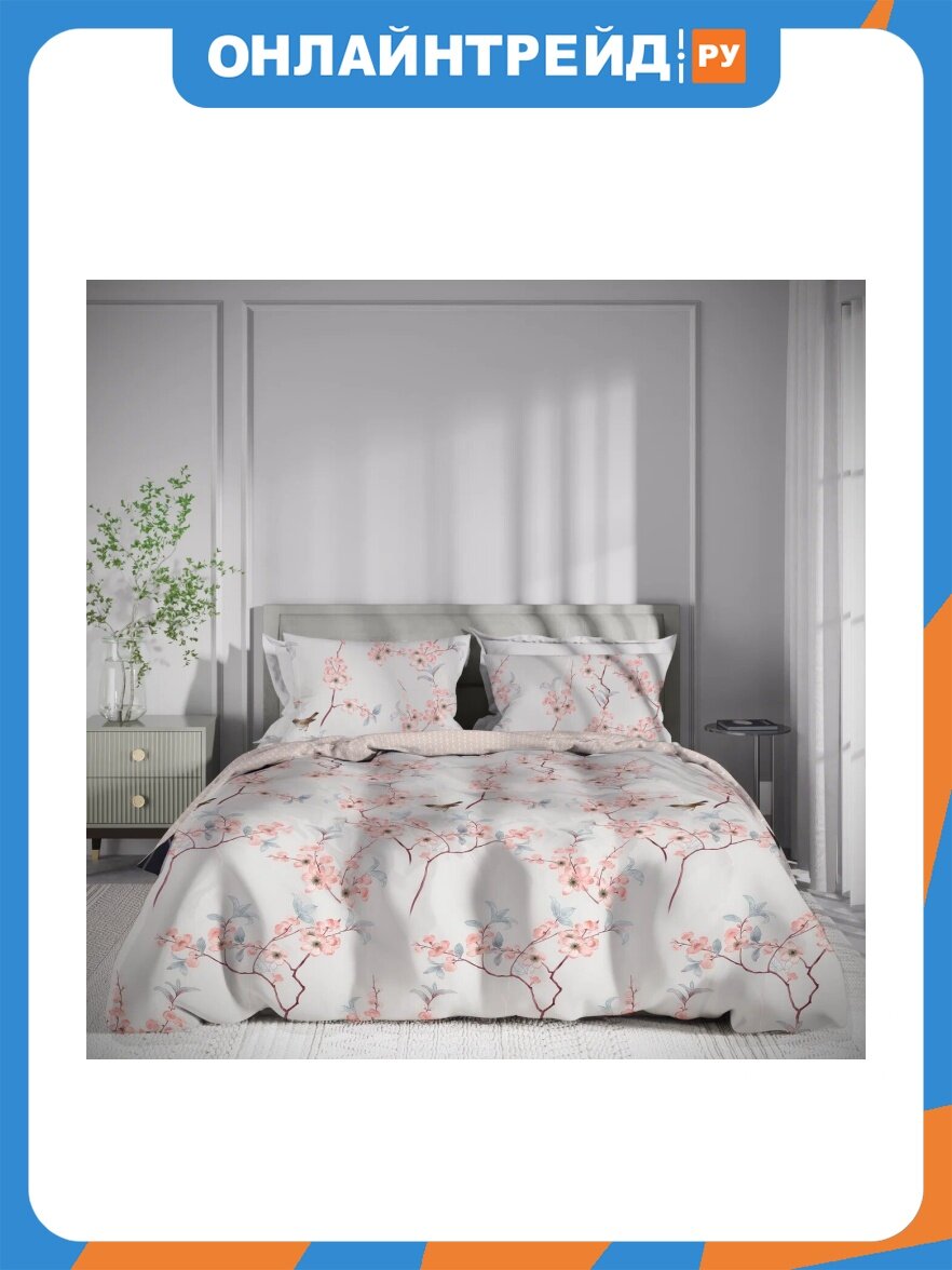 Евро комплект постельного белья Василиса Delight Бязь 70х70 (Delight-341911)