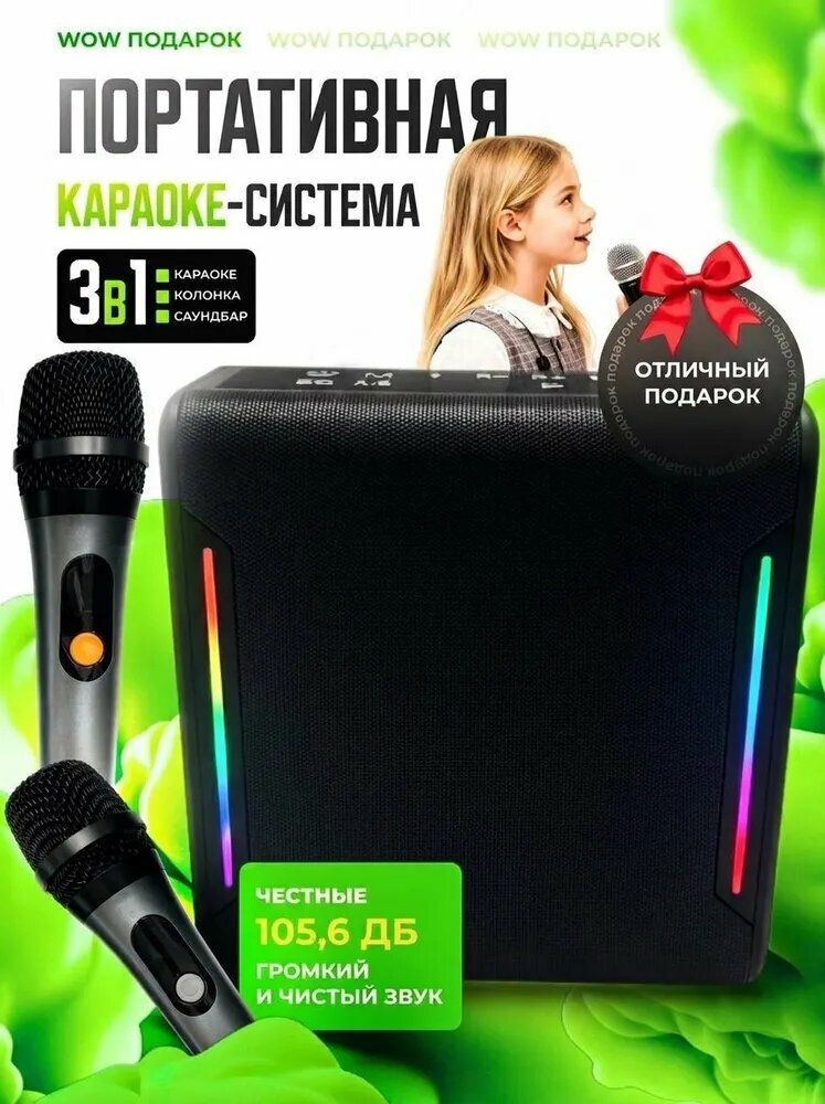 Караоке система с двумя микрофонами VR Pro