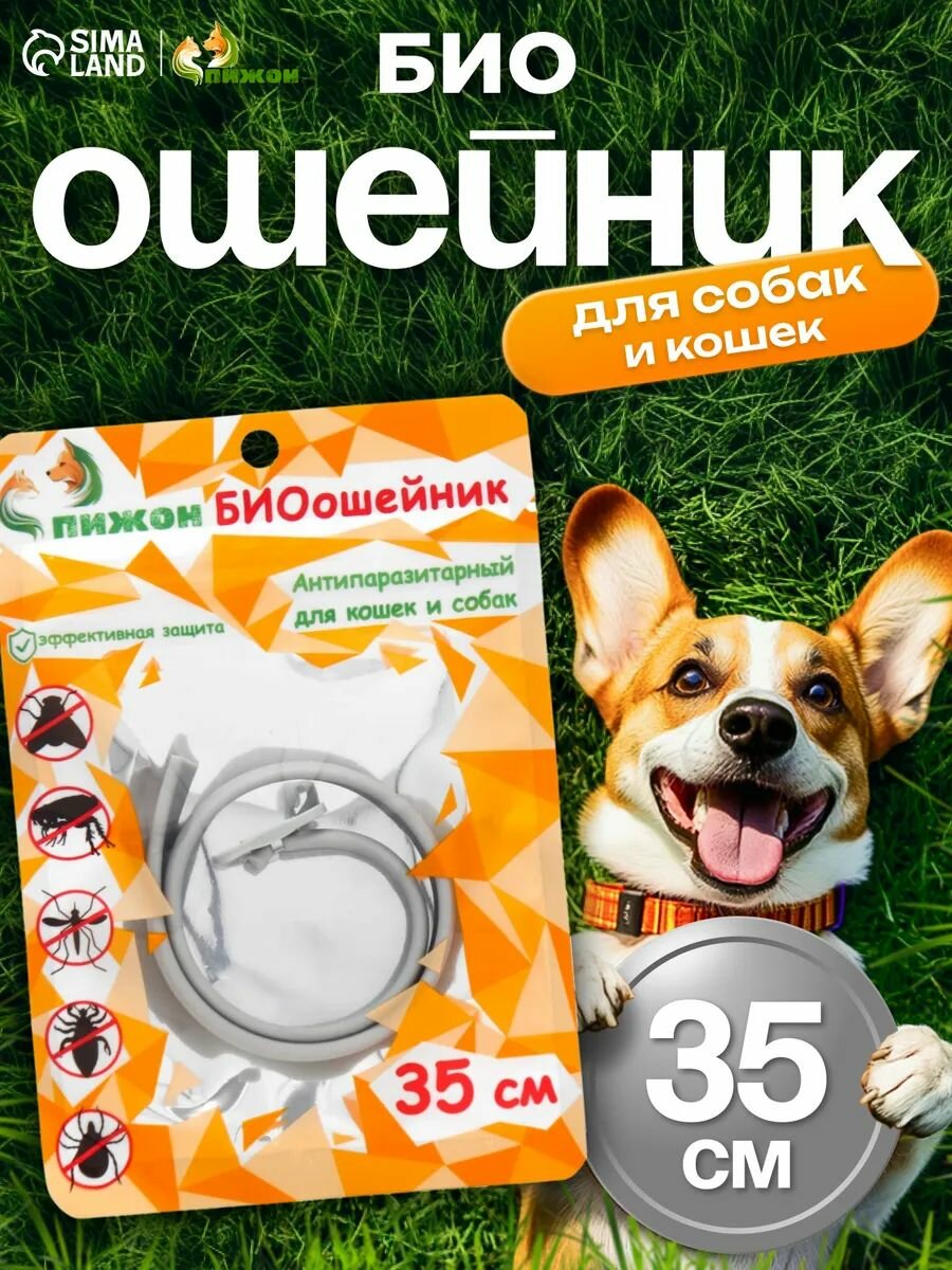 Ошейник для кошек от блох и клещей и собак, 35 см, серый от блох для кошек ошейник от клещей