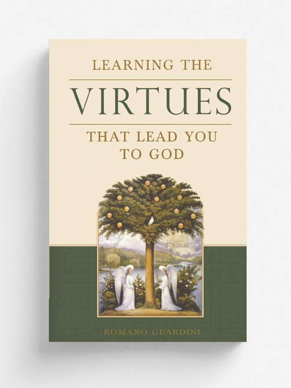 Learning the Virtues