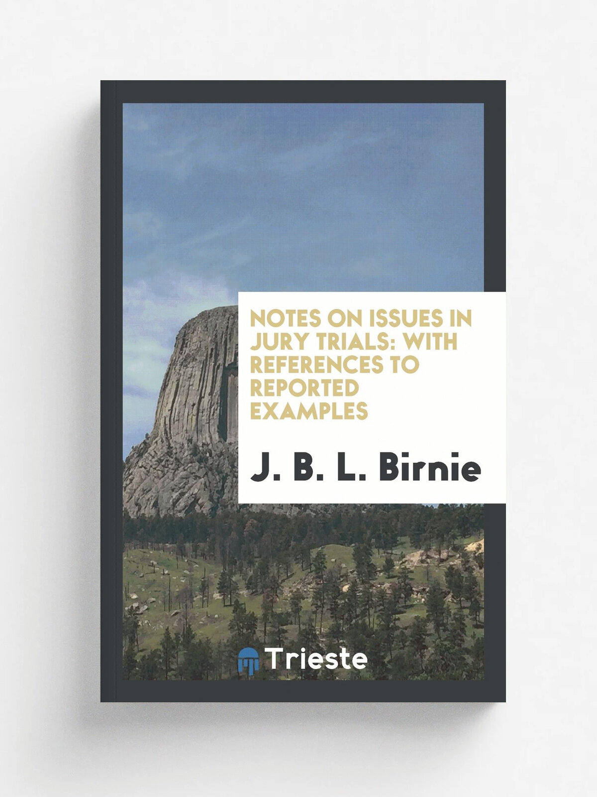 Notes on Issues in Jury Trials. With References to Reported Examples