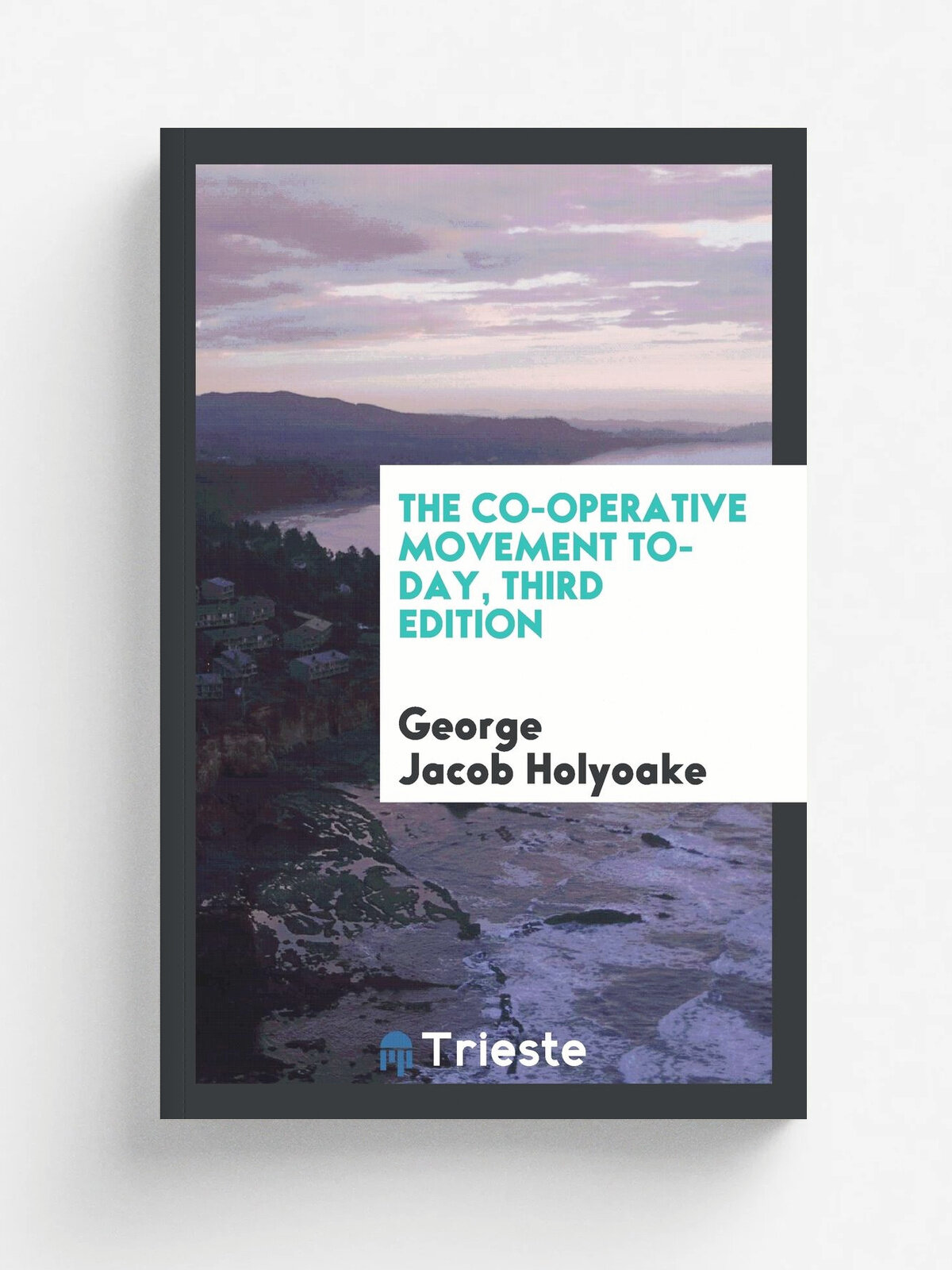 The co-operative movement to-day