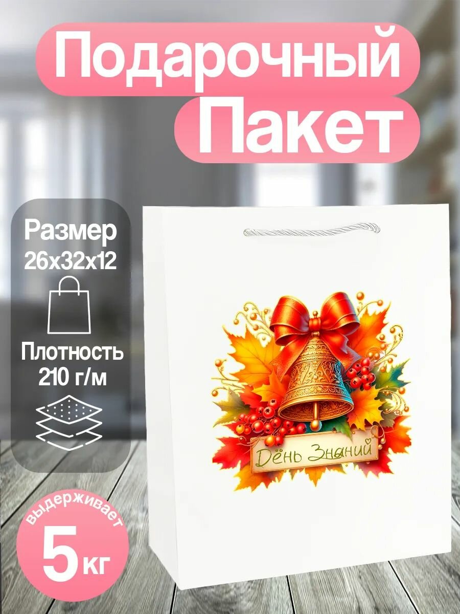 Пакет подарочный 1 сентября