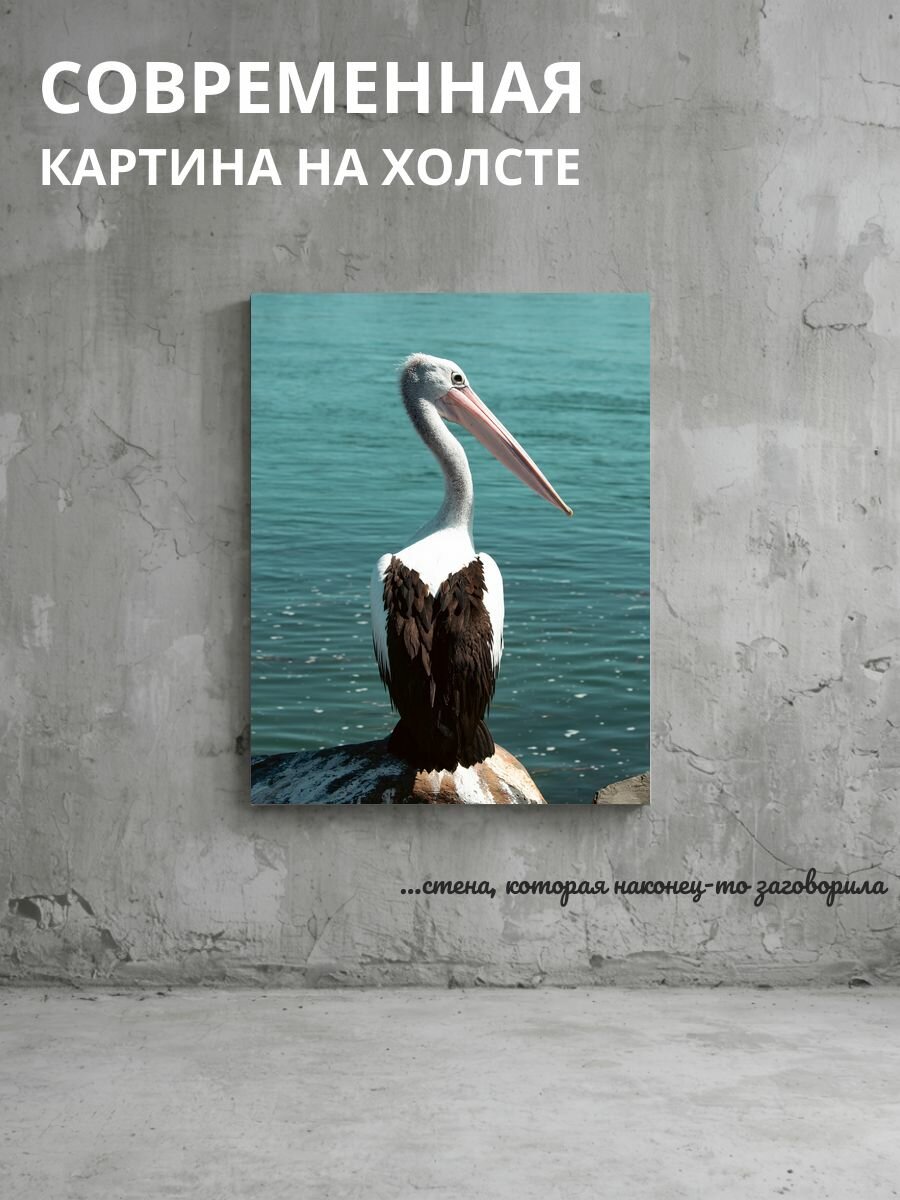 Картина на холсте Пеликан 50x70 см