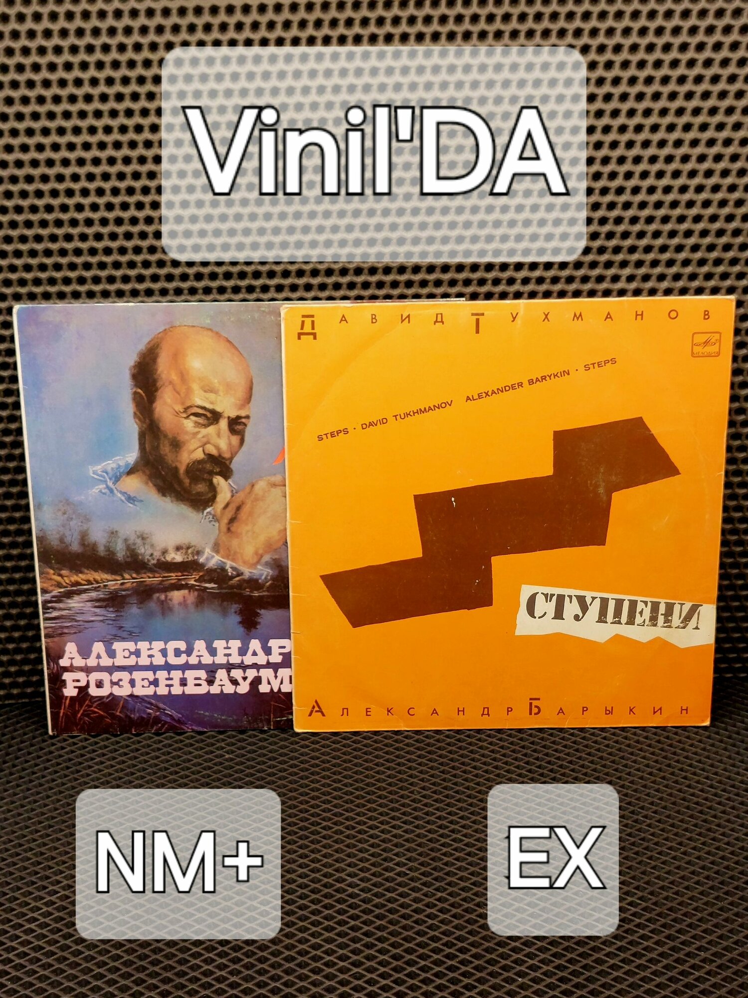 Набор из 2х виниловых пластинок Александр Розенбаум "Казачьи песни". LP1. Давид Тухманов, Александр Барыкин "Ступени". LP1.