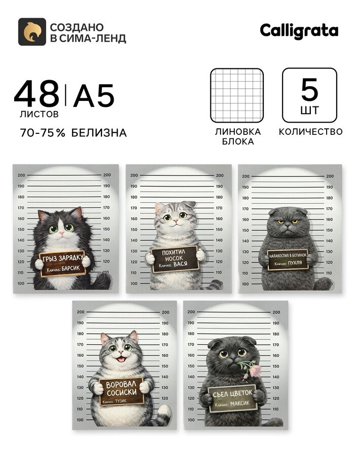 Тетрадь 5 штук, 48 листов в клетку Calligrata «Коты хулиганы», серые листы, блок №2, 5 видов