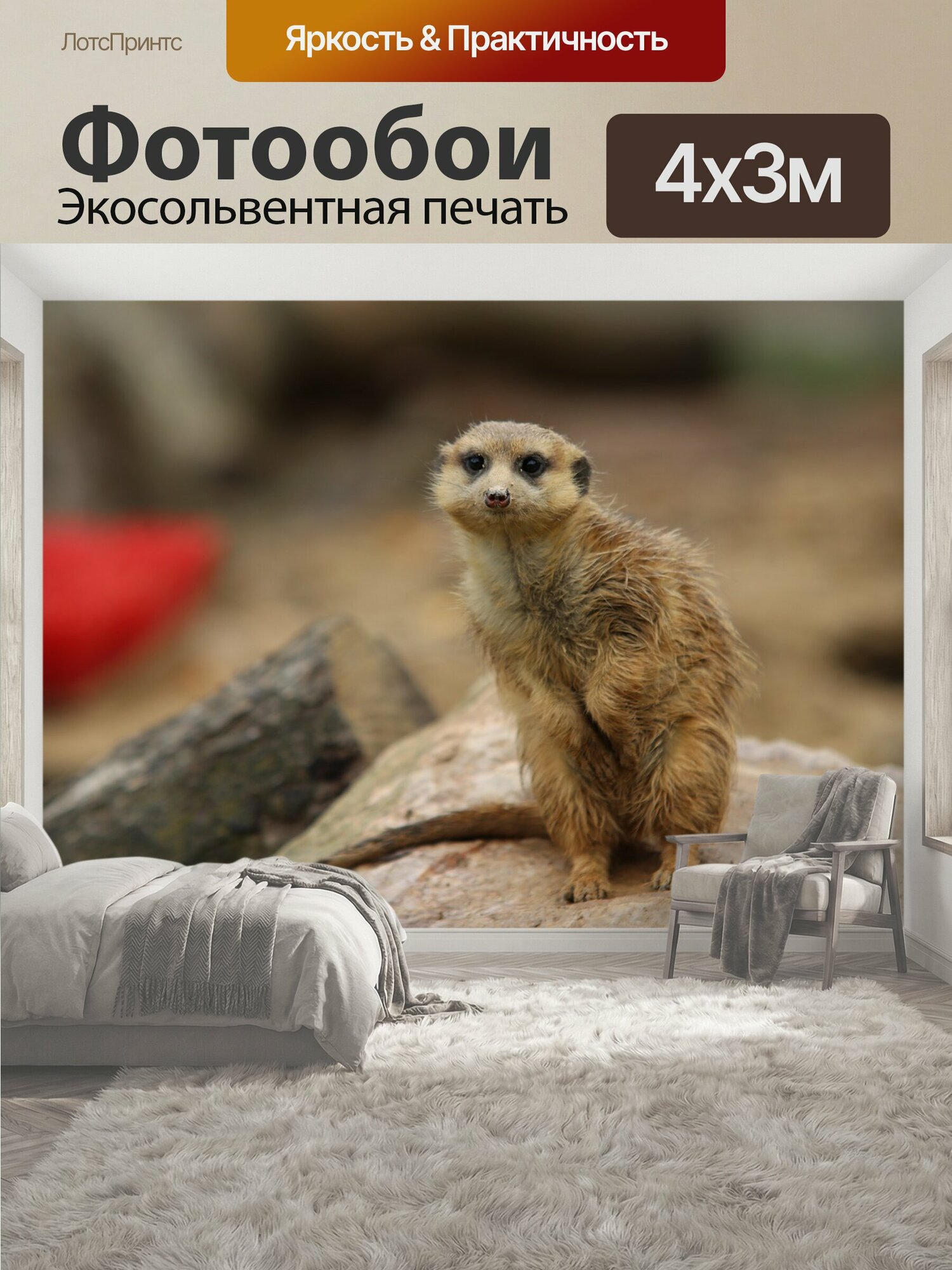Фотообои "Сурикат, млекопитающее, камень" 400x300 см. экосольвентная печать