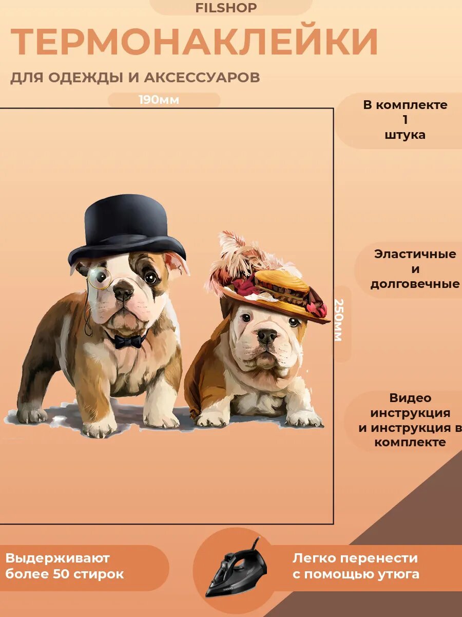 Термонаклейка на одежду французский бульдог, мопс