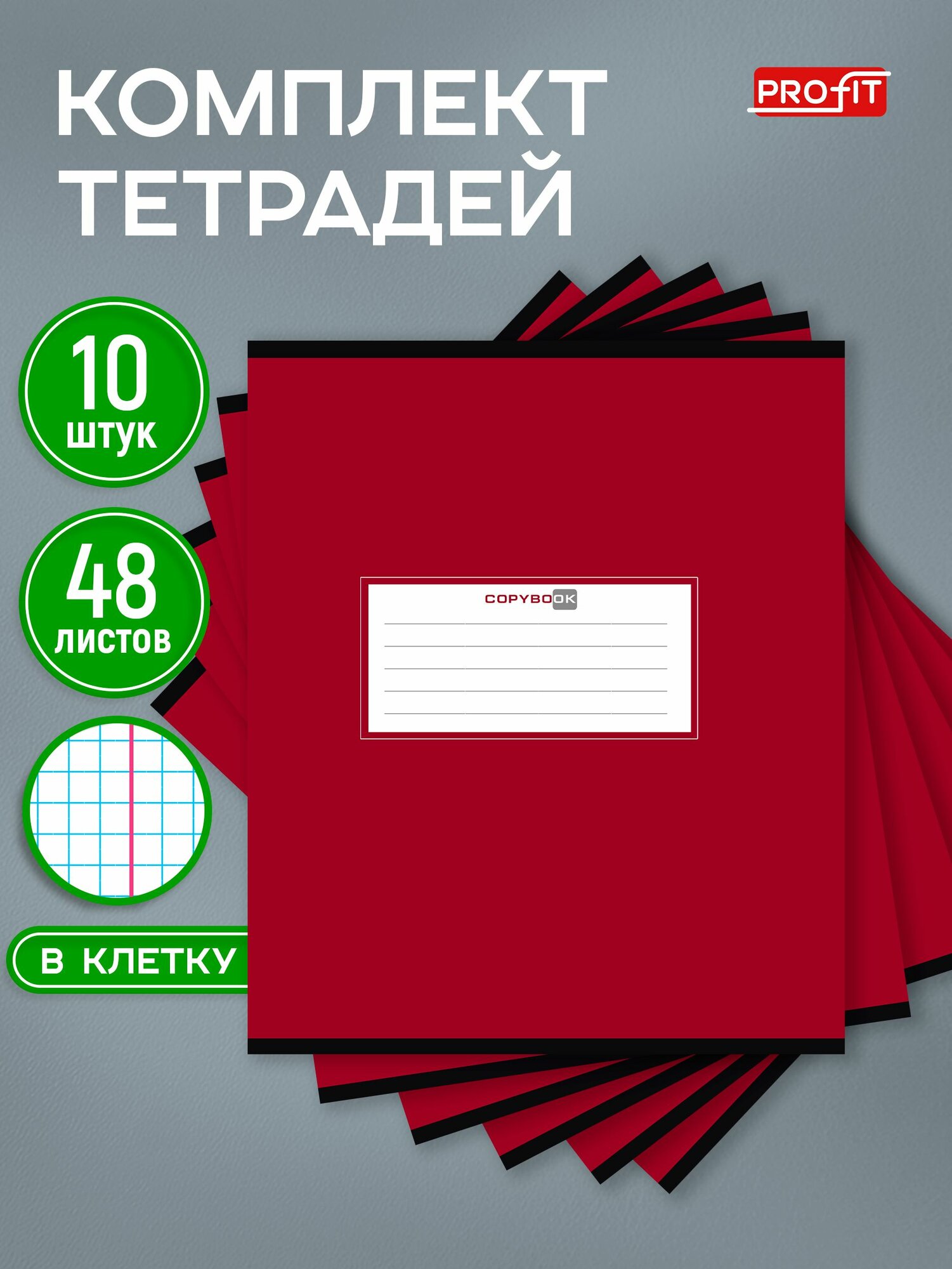 Тетрадь 48 листов в клетку Prof-Press, набор 10 штук