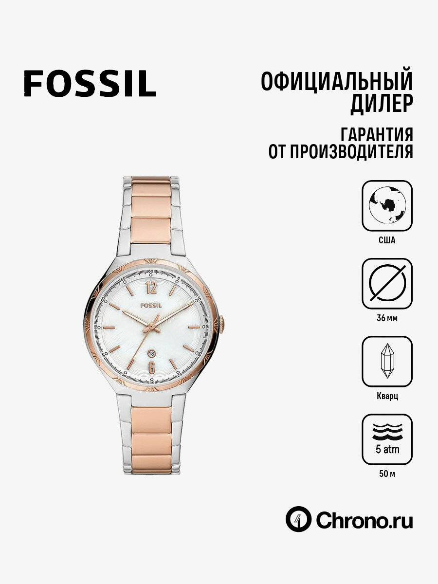  FOSSIL Ashtyn