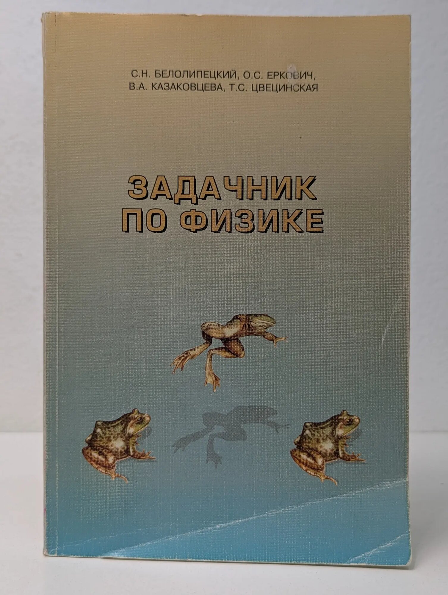 Задачник по физике Белолипецкий Сергей Николаевич, Еркович Ольга Станиславовна 2005