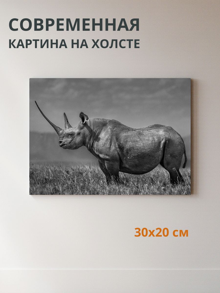 Картина на холсте Носорог 30x20 см