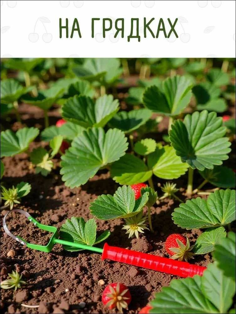 Тяпка петля полольник для сада и огорода