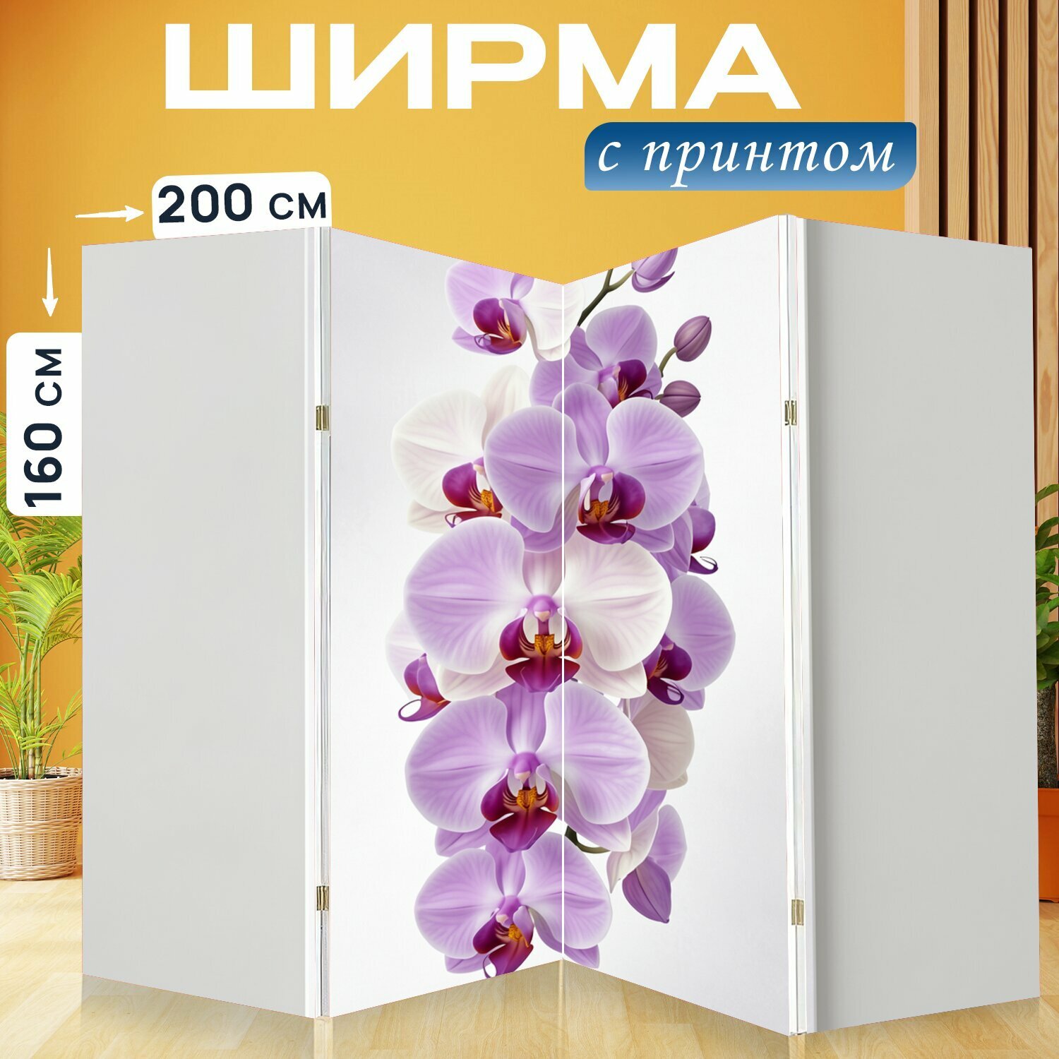 Ширма "Лиловые орхидеи на светлом фоне. Изящная цветочная композиция с каскадом нежных орхидей в оттенках." перегородка для зонирования комнаты с принтом 200x160 см. на холсте