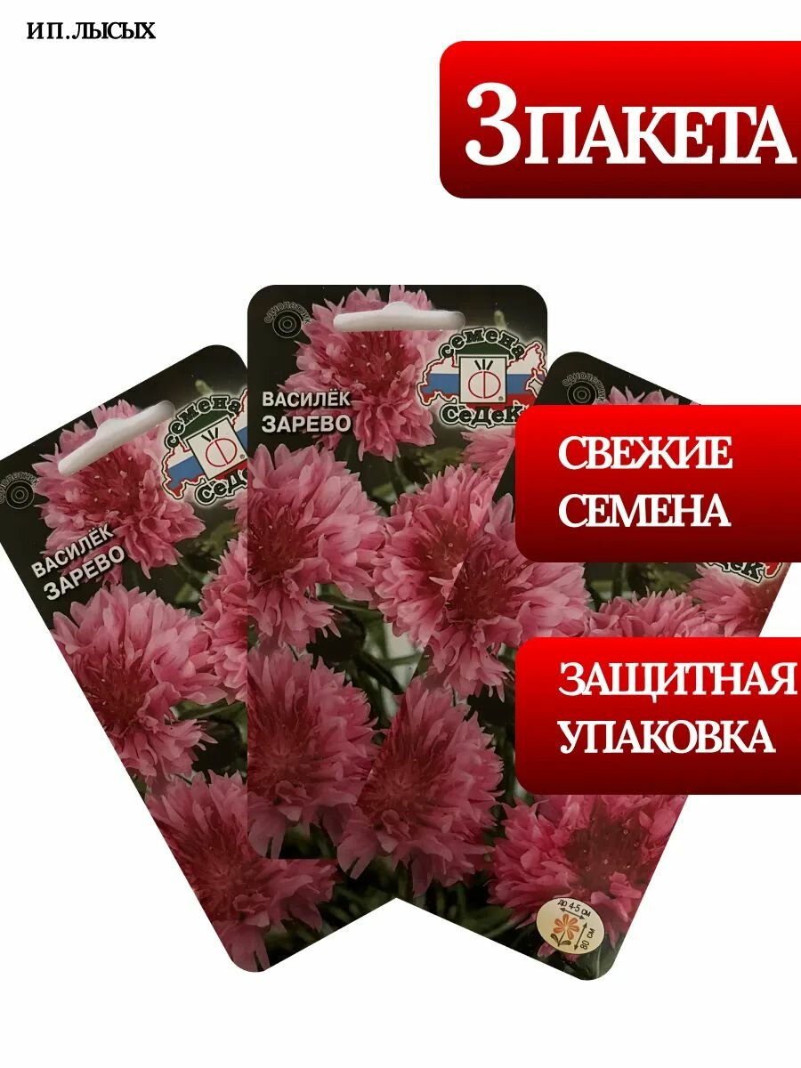 Семена Василек "Зарево"