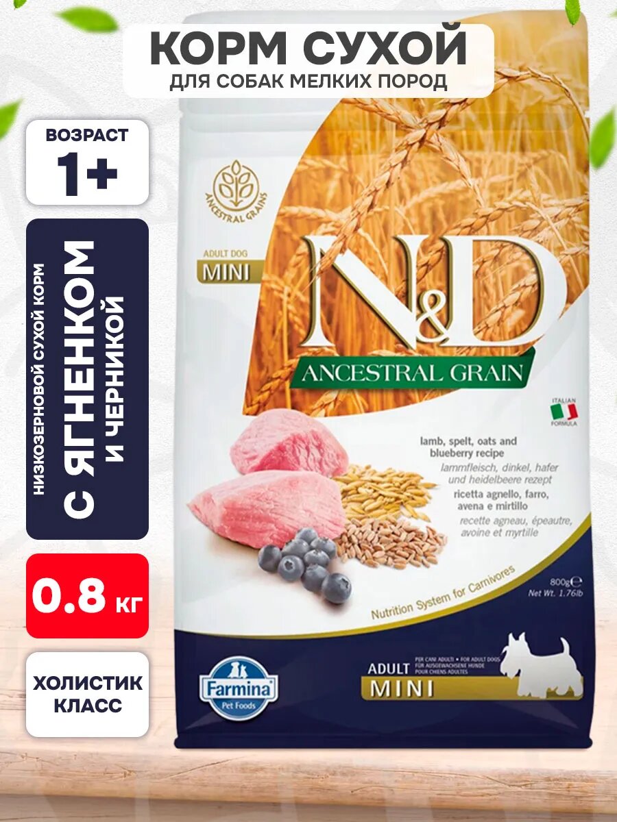 Корм сухой Farmina Dog N&D Ancestral Grain Adult Mini Lamb & Blueberry низкозерновой для взрослых собак маленьких пород, ягненок, черника, 0,8 кг