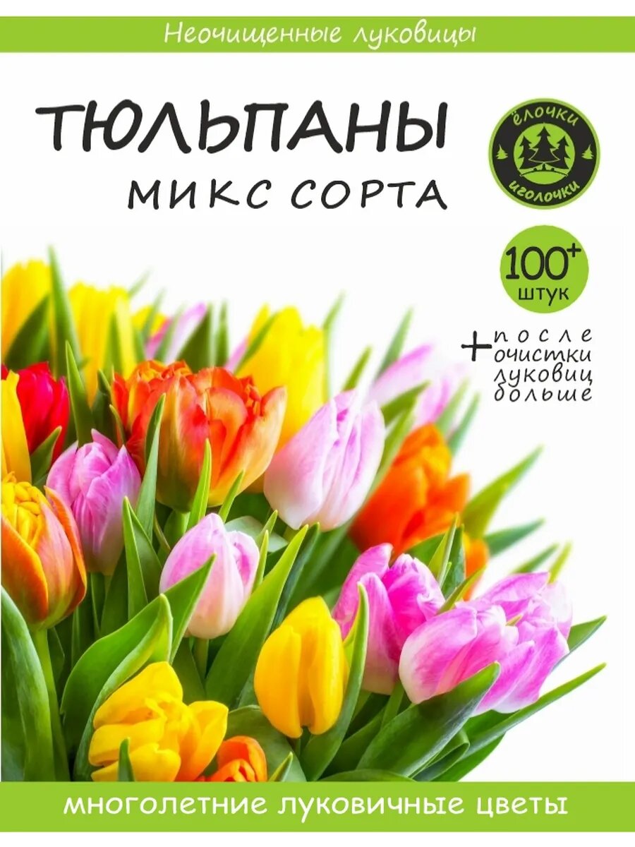 Тюльпан Луковицы, Микс сортов, 100шт