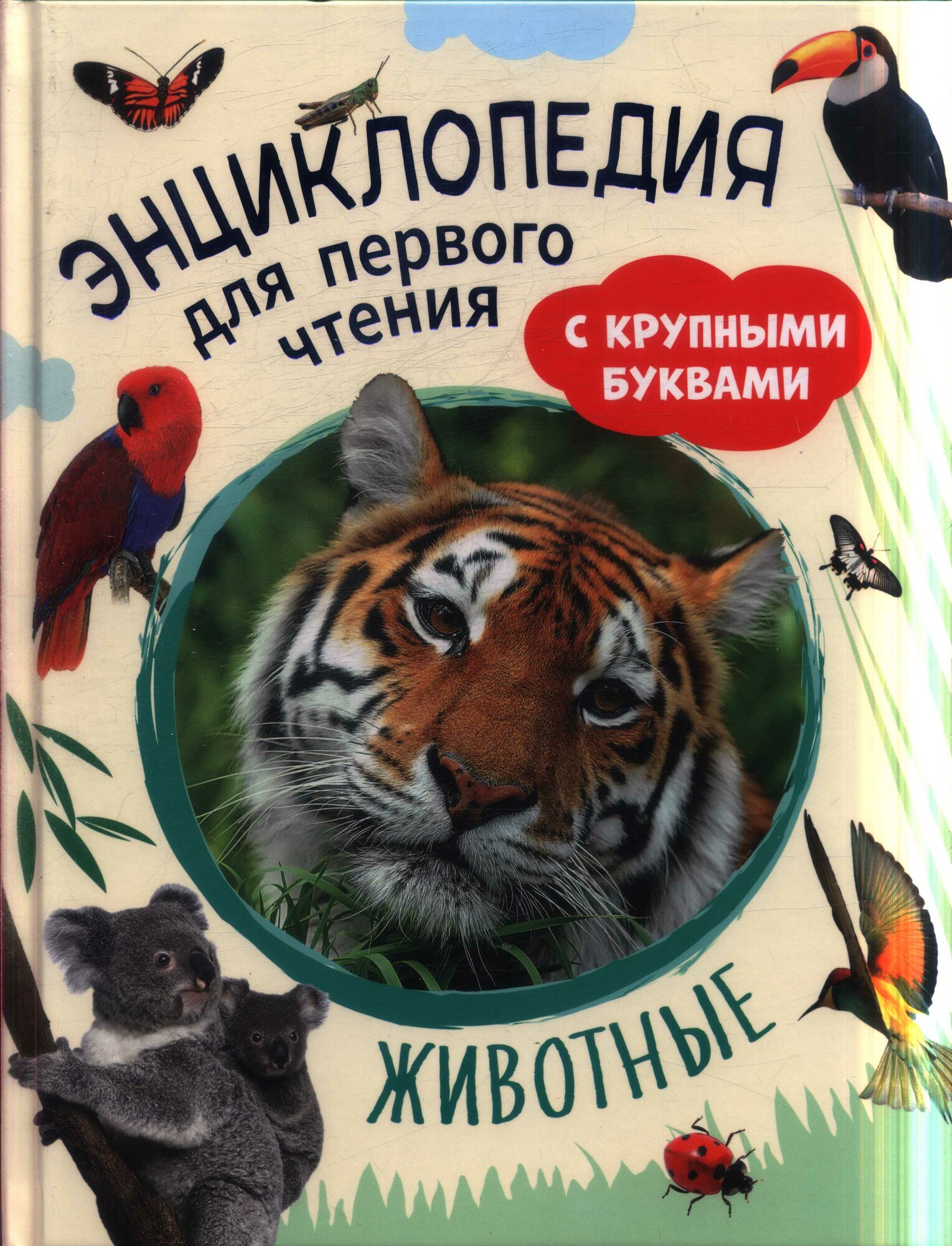 ЭнциклопедияДляПервогоЧтения Животные (с крупными буквами) (Гальцева С. Н, Клюшник Л. В.), (Росмэн/Ро