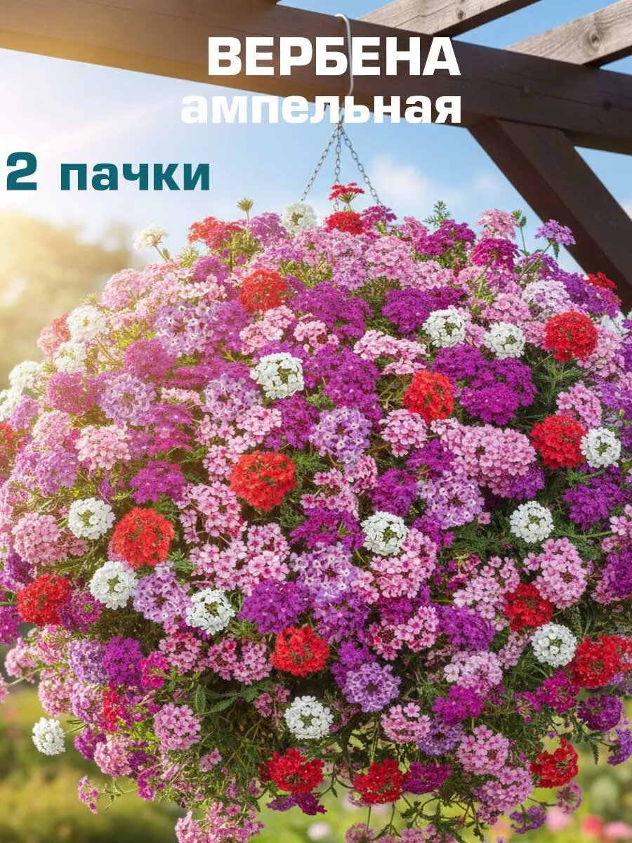 Семена Вербена ампельная смесь окрасок, цветы для балкона и сада, для подвесных кашпо, однолетник, неприхотливые