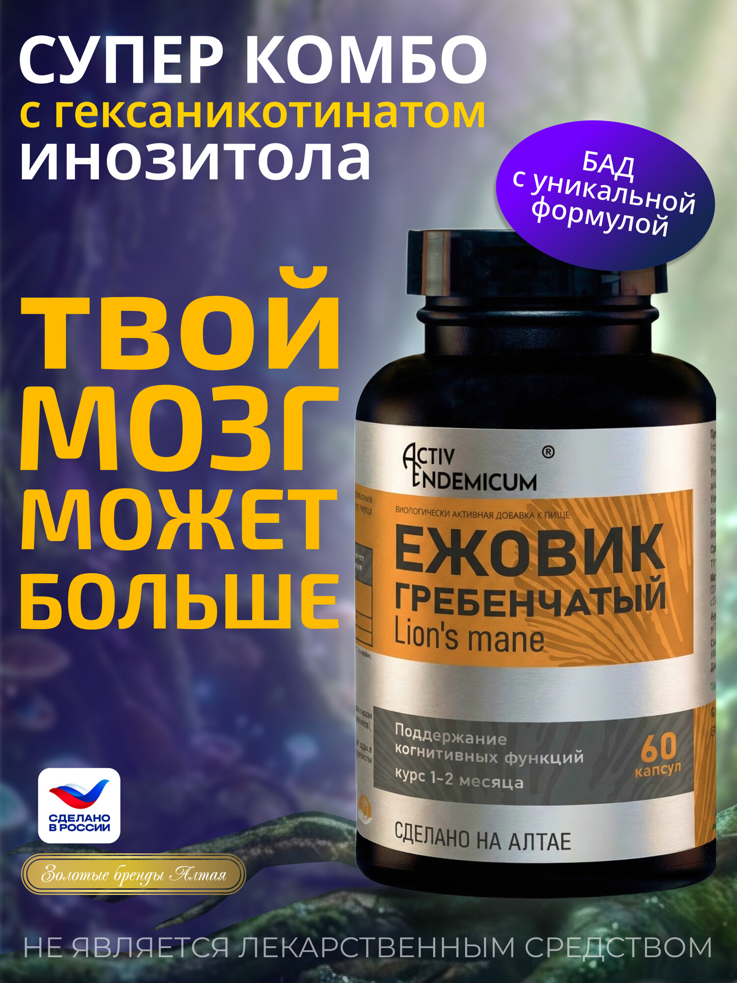 Концентрат на основе растительного сырья "Ежовик гребенчатый", для нервной системы, 60 капсул, Алтайские Традиции