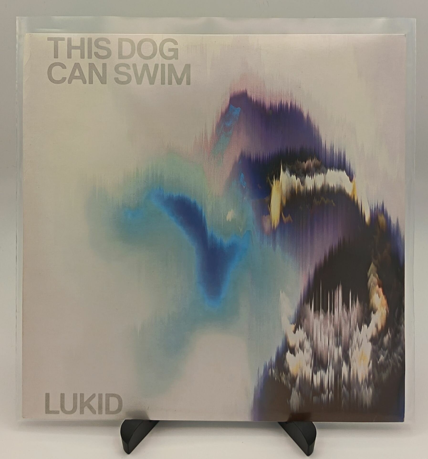 Lukid - This Dog Can Swim, LP. Виниловая пластинка EX/EX.