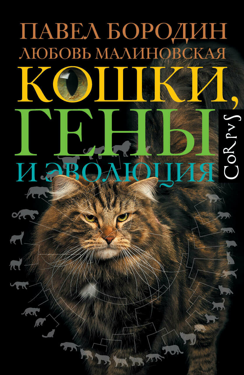 Книга "Кошки, гены и эволюция", автор Бородин П. М, издательство Corpus