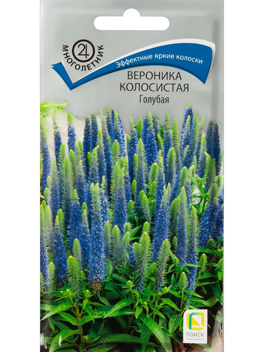 Семена цветов Вероника колосистая Голубая