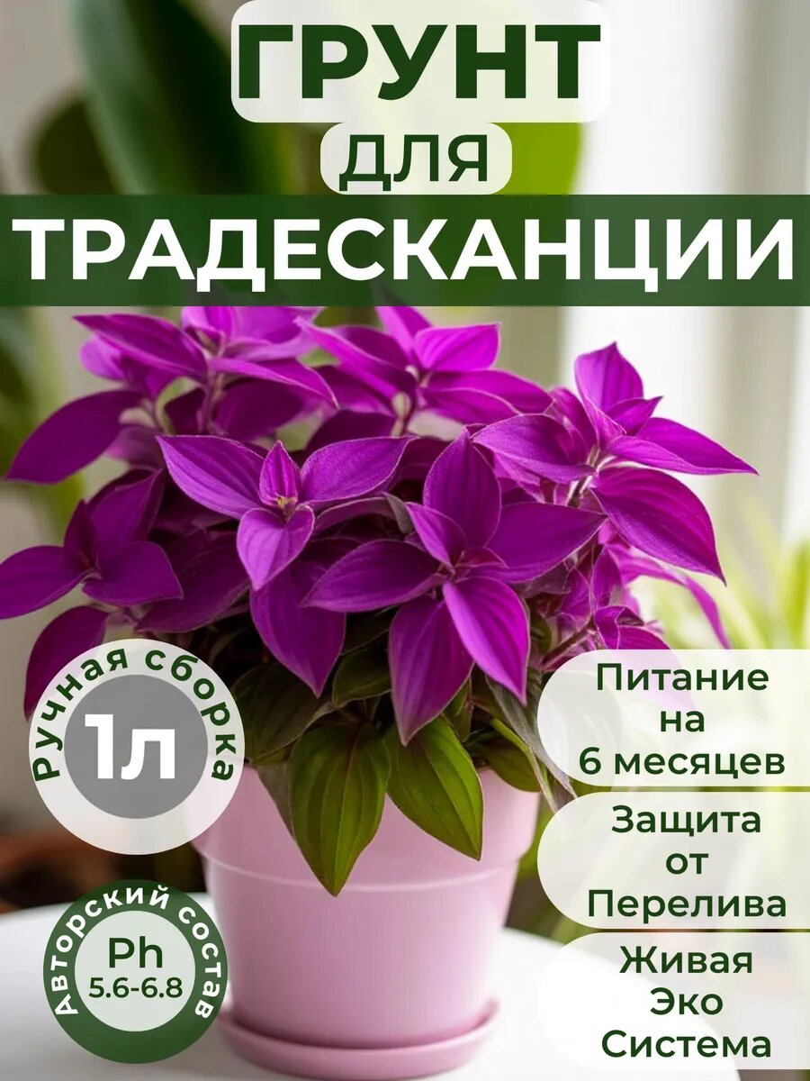 Готовый авторский грунт для Традесканции, премиум 1 литр