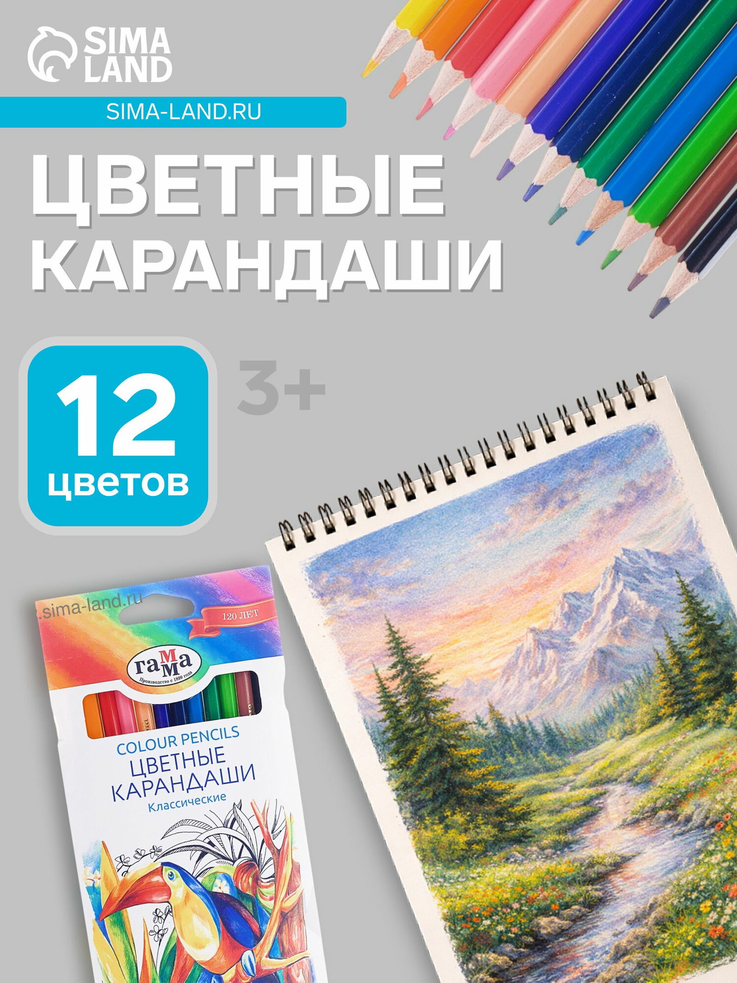 Карандаши цветные 12 цветов "Гамма. Классические", стержень d=2.6 мм, шестигранные