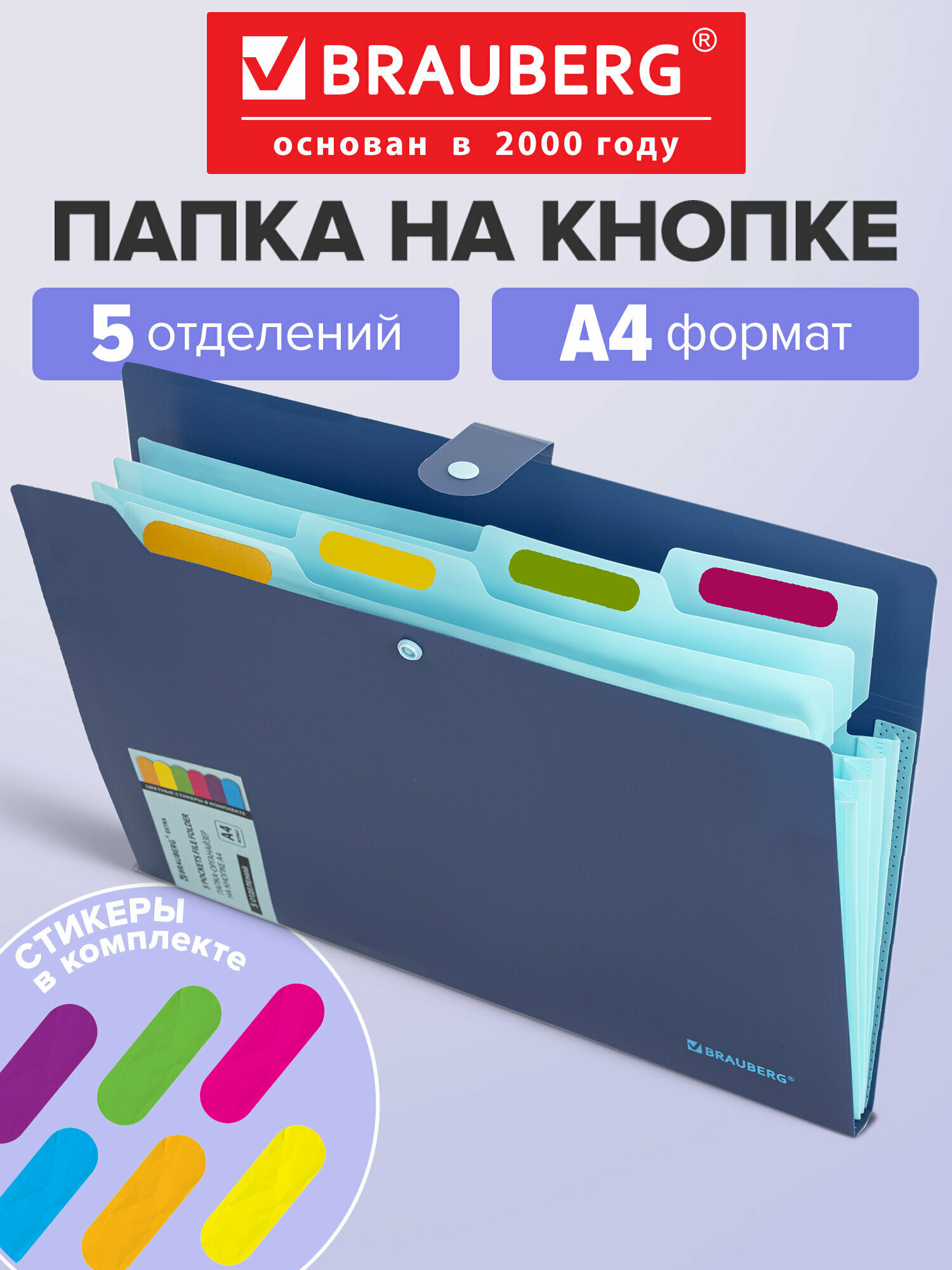 Папка для документов А4 канцелярская на кнопке, органайзер для бумаг 5 отделений, Brauberg Extra, 274096