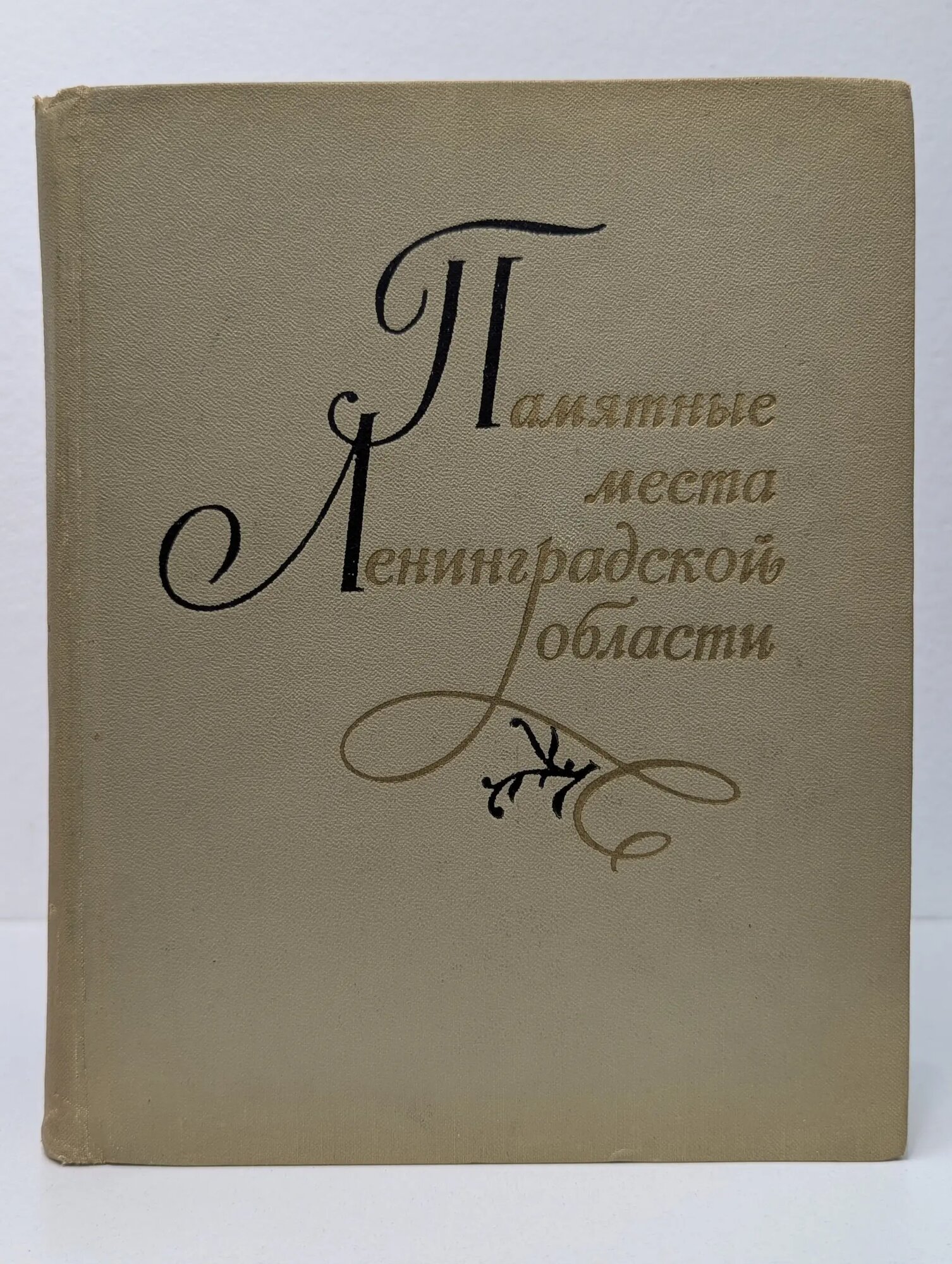 Памятные места Ленинградской области Гришина Лидия Ивановна, Файнштейн Любовь Александровна, Великанова Галина Яковлевна 1973