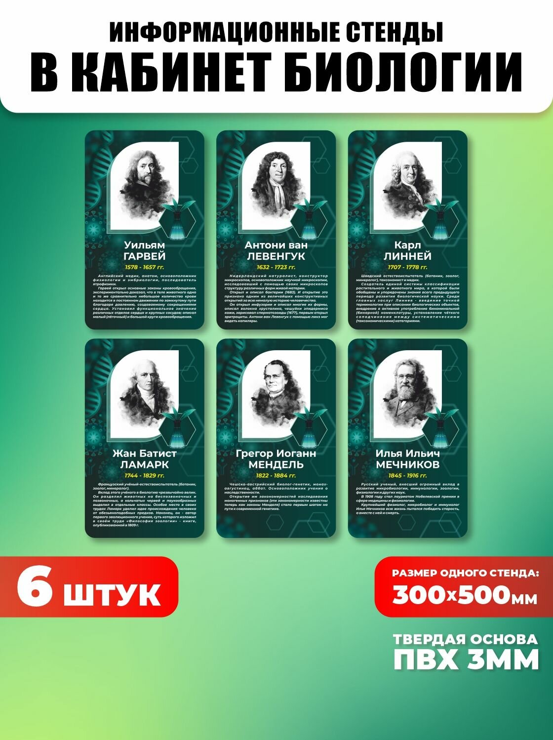 Комплект стендов Биологи, цвет зеленый, набор 6 шт, VoloMar