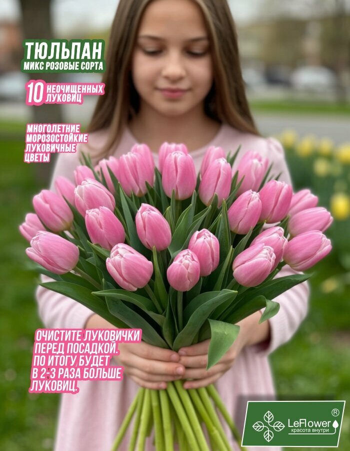 Тюльпан Луковица, Микс розовых сортов, 10шт