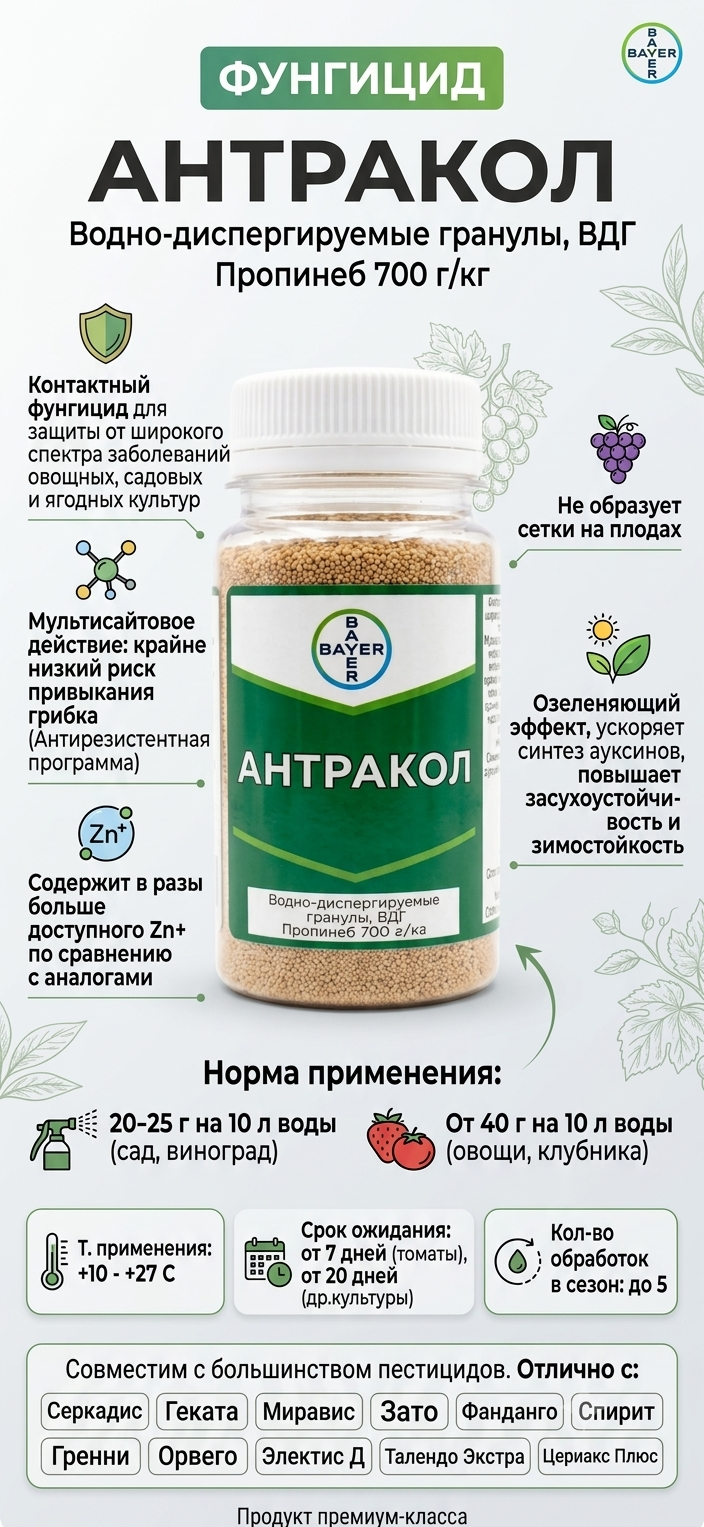 Фунгицид Антракол, 25 грамм Контактный фунгицид для защиты от широкого спектра заболеваний овощных, садовых и ягодных культур, фасовка